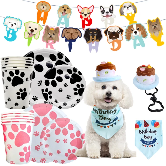 Cat And Dog Birthday Party