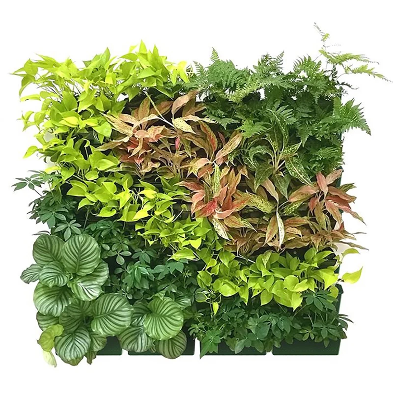 Настенный Цветочный Горшок Искусственный Зеленый Декор Aliexpress