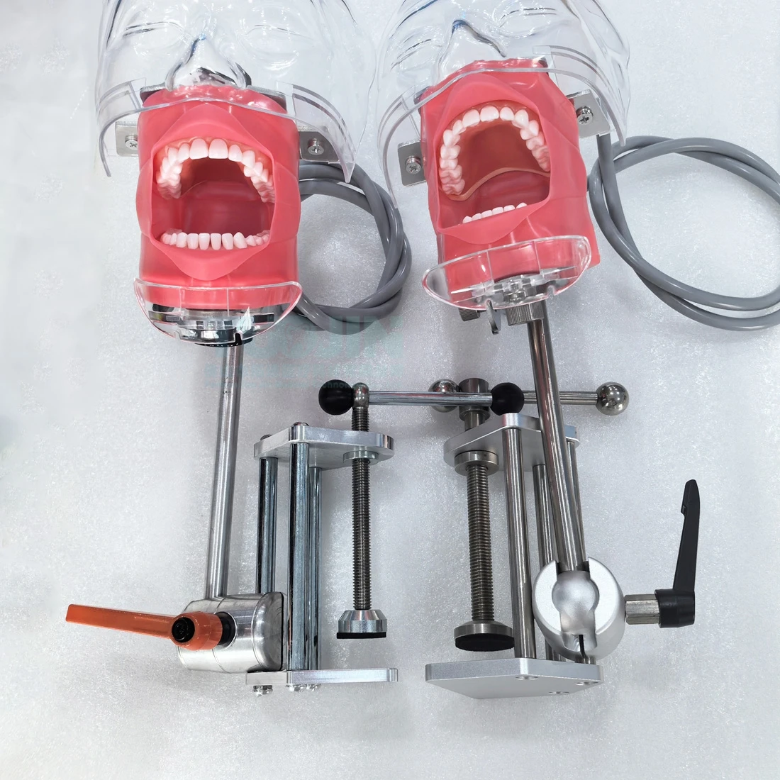 Table clamping type head model dental simulator, phantom dummy and ...