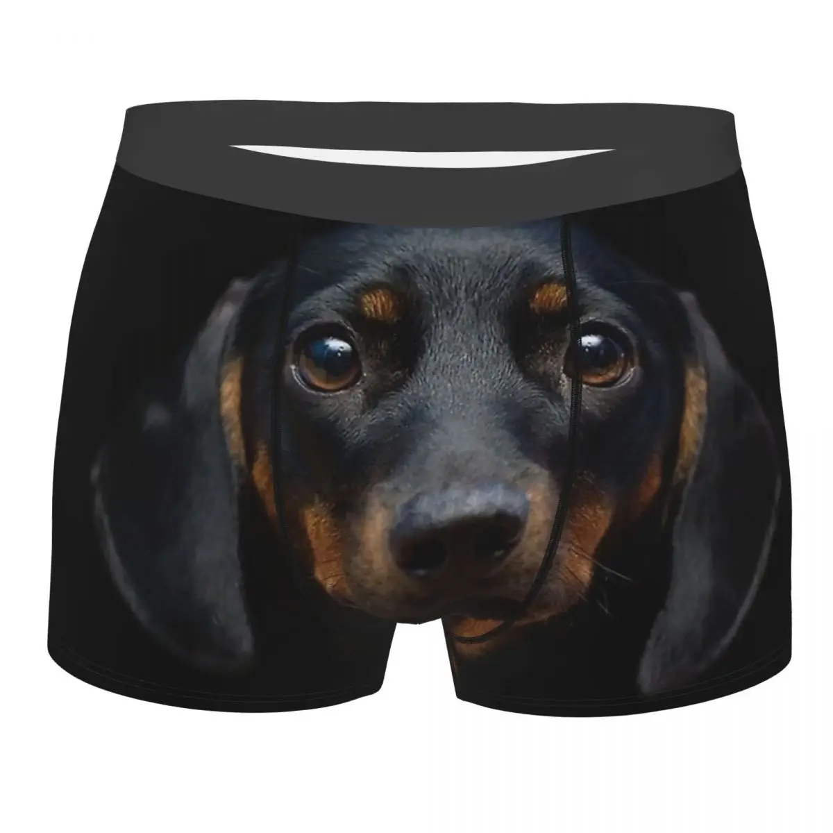 Weiner Dog Boxer