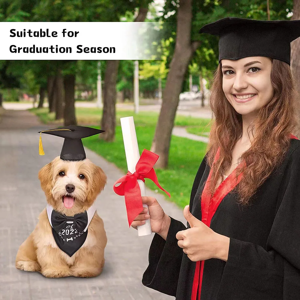 Graduation Dog