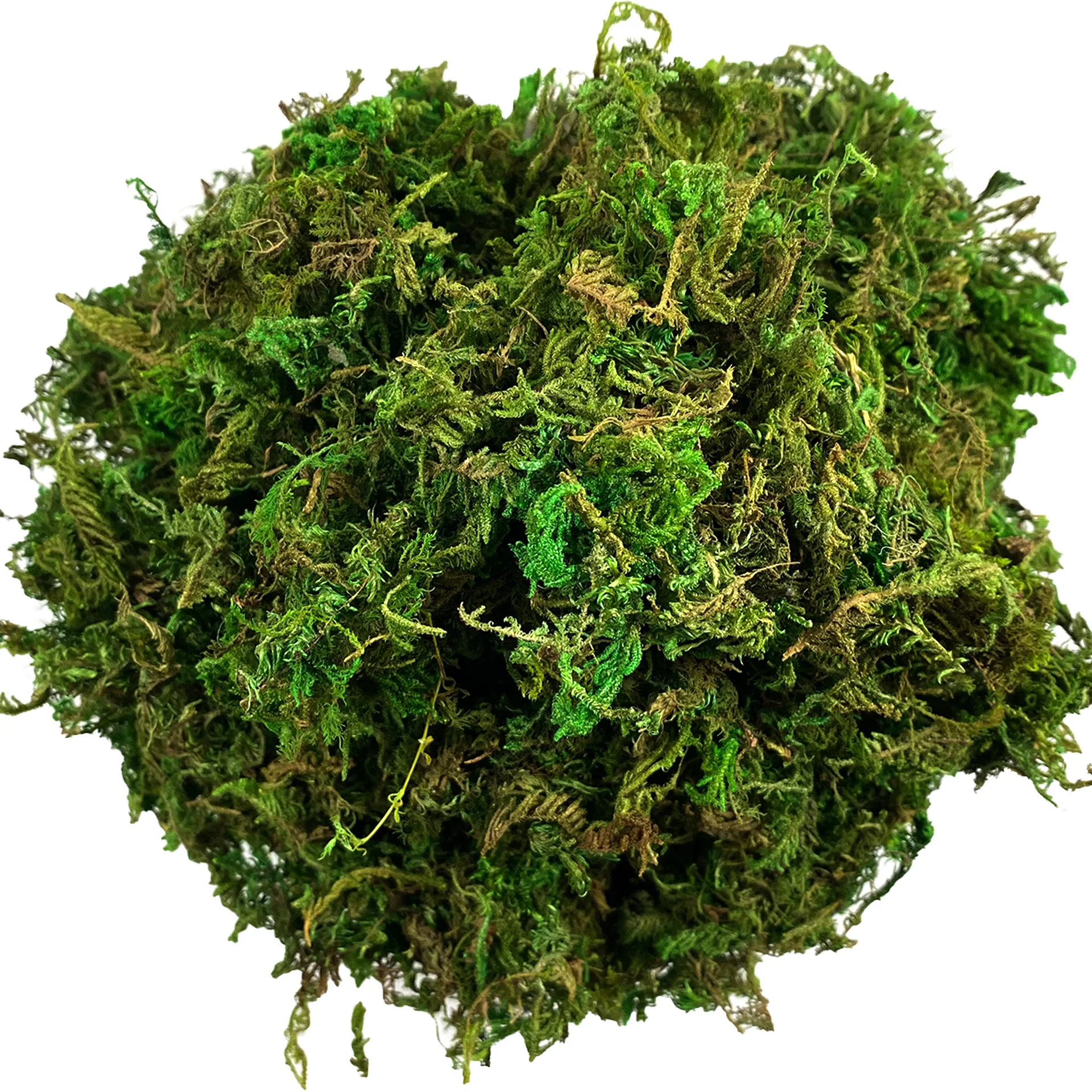 Artificial Moss Green for Potted Plant Orchid Potting Mix Peat Moss ...
