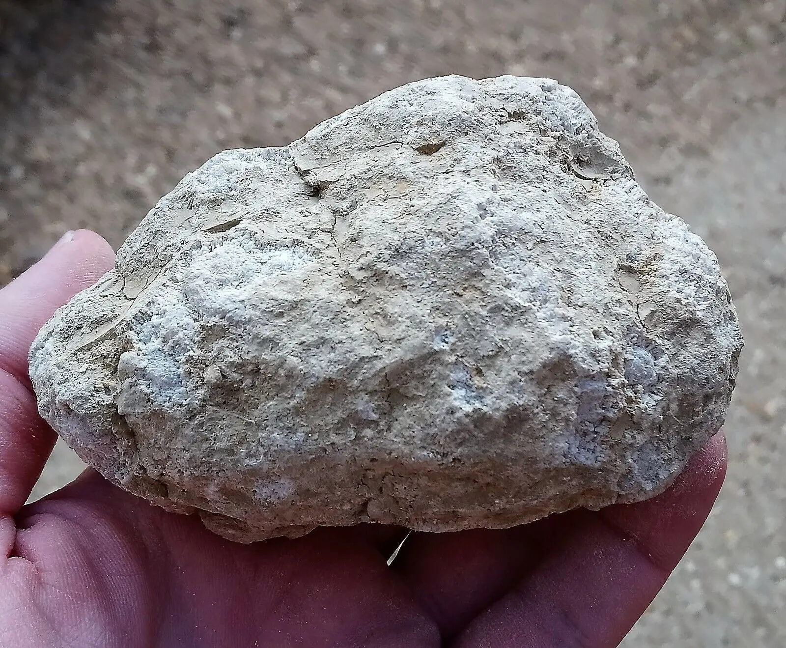 Unbroken Geode Rocks