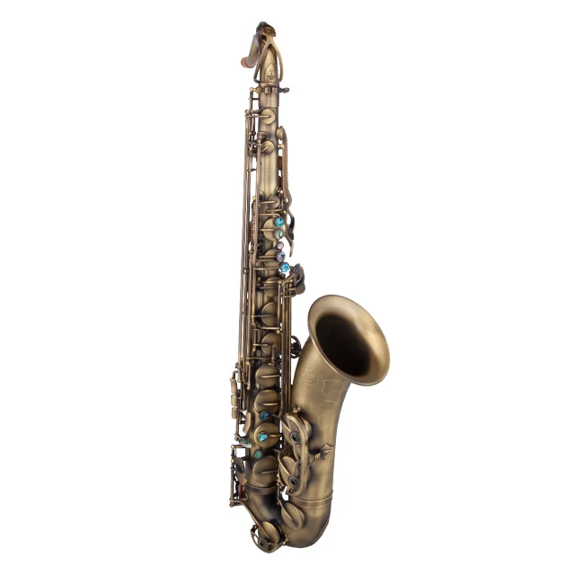 Antique-Colored-Dotted-Antique-Bronze-Bb-Tone-Tenor-Sax.jpg