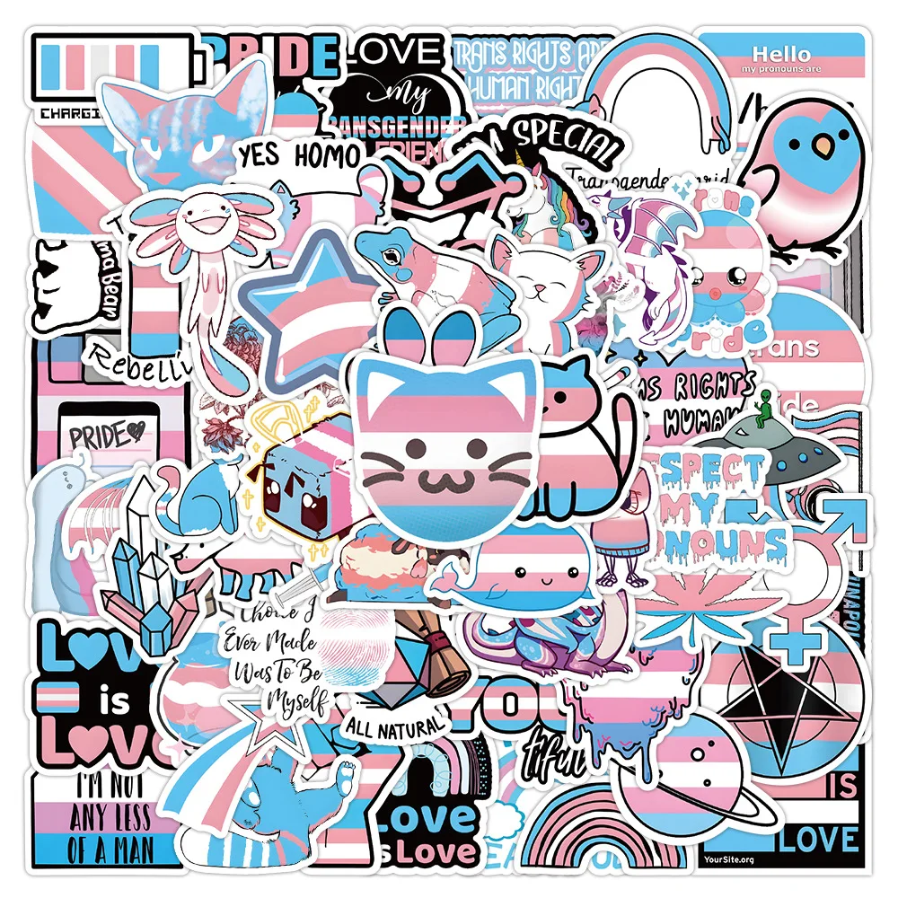 60pcs Cute LGBT Transgender Pride Stickers Car Notebook Laptop ...