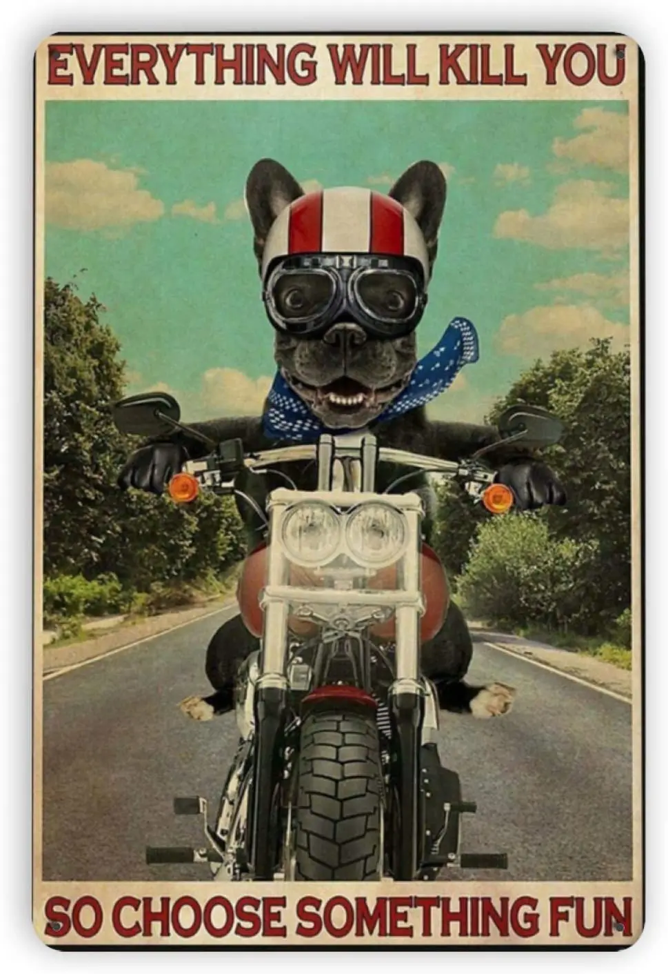 French-Bulldog-Motorcycle-Choose-Something-Fun-Vintage-Metal-Tin-Signs ...