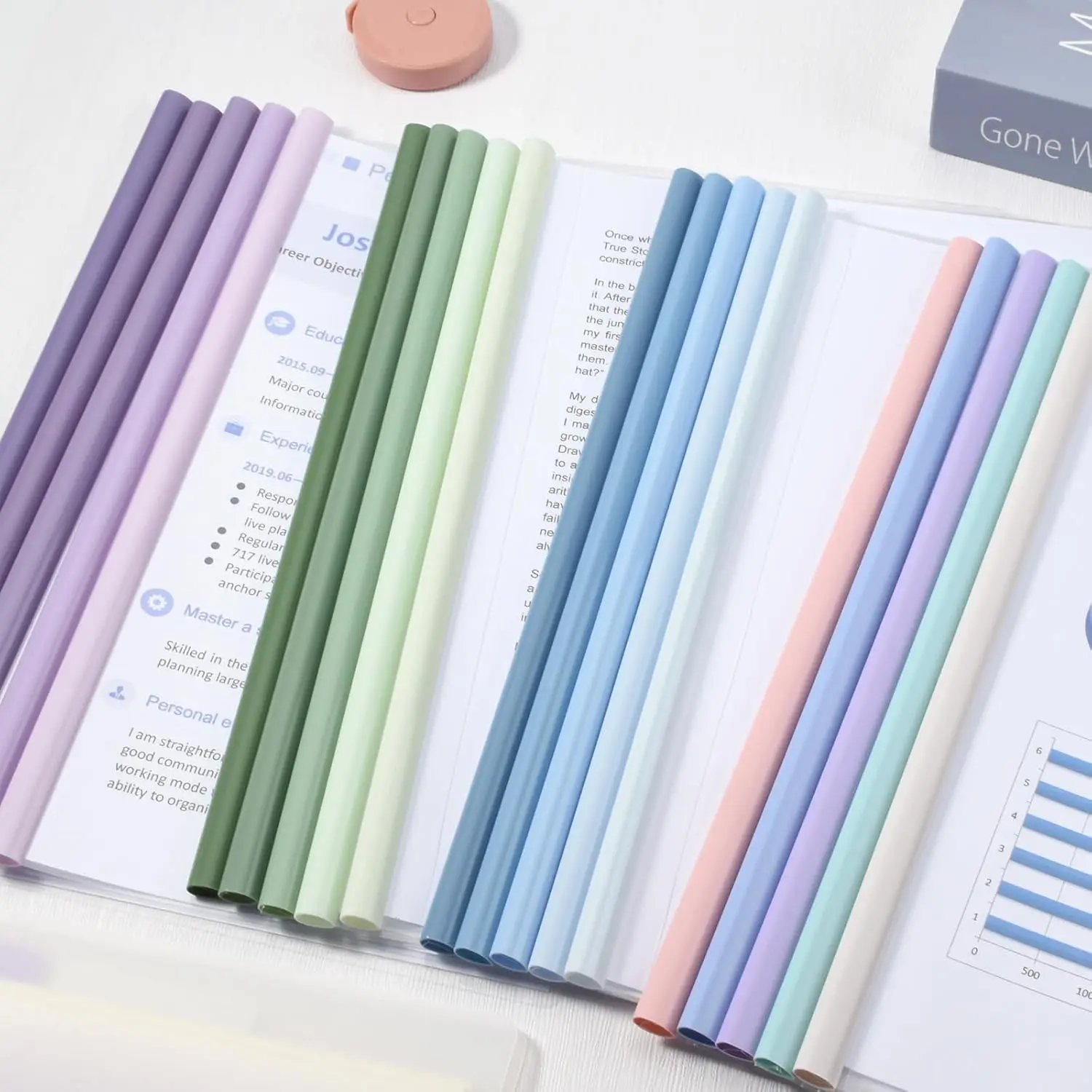 10 Pcs Clear Report Covers with Sliding Bar, Project Folders for A4 and ...