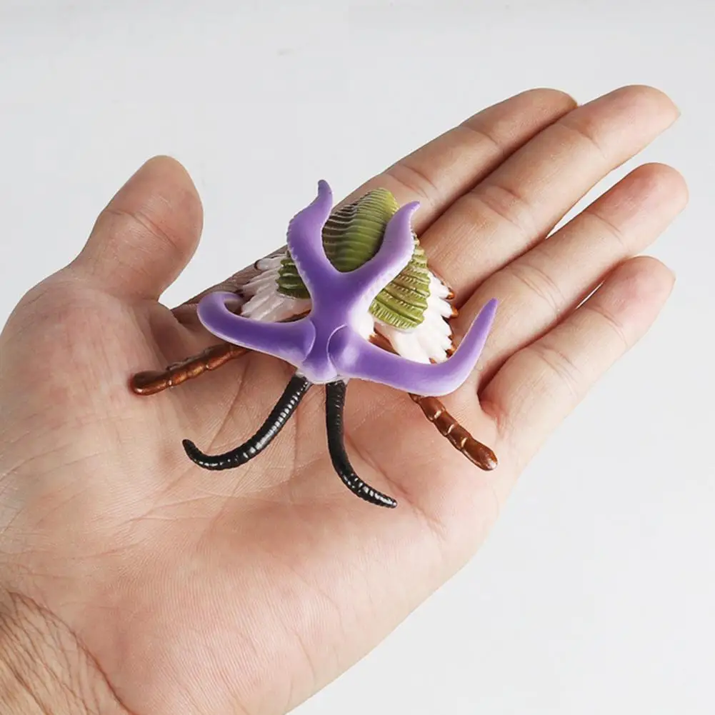 Safe-No-Deformation-Cambrian-Period-Museum-Model-Trilobite-Ornament ...