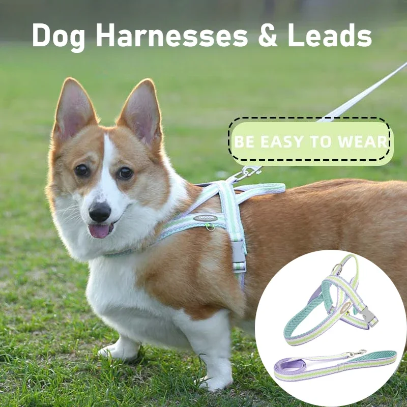 2024 New Puppy Leash Walking Dog Leash Lightweight Pet Harness Chest ...