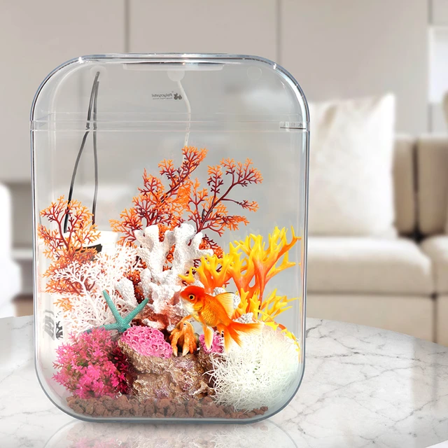 Modern Fish Bowls