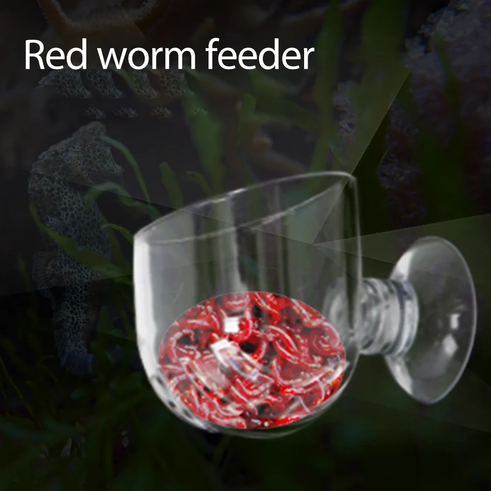 Transparent-Glass-Fish-Food-Bowl-Red-Worm-Cup-With-Strong-Suction-Cup ...