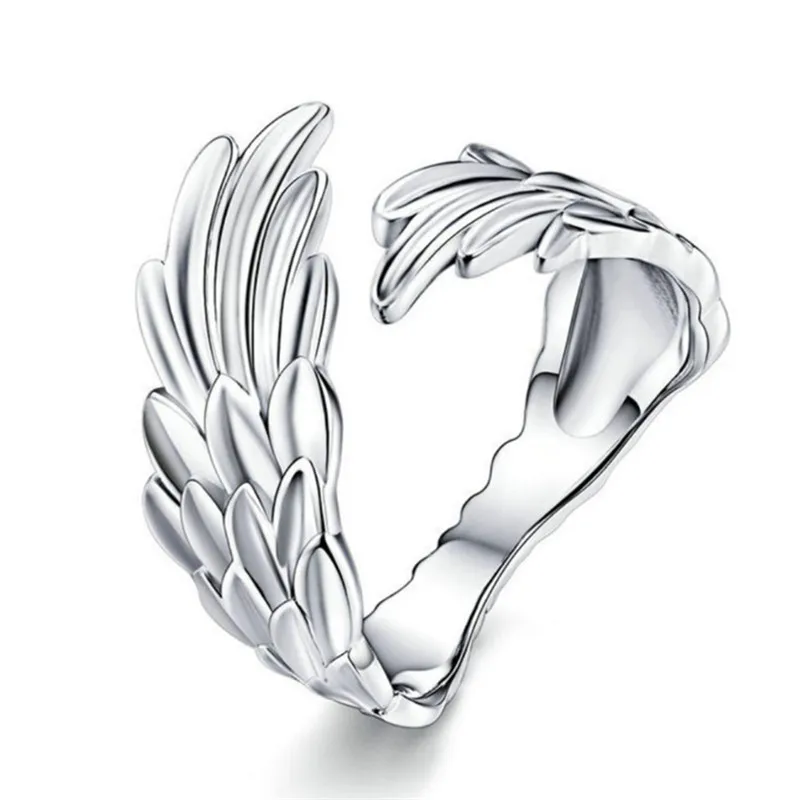 Angel Wings Wrapped Around