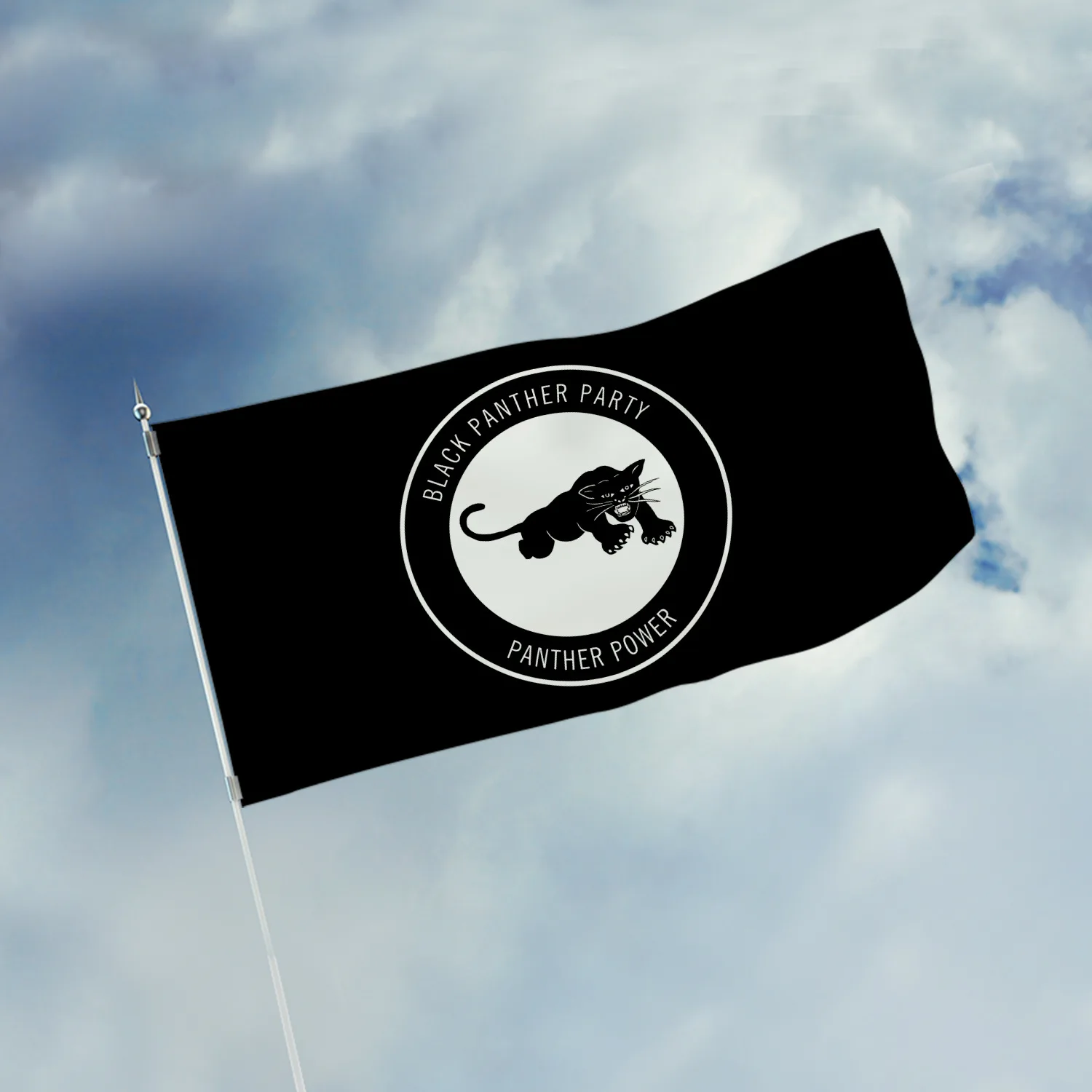 Black Panther Party Flag
