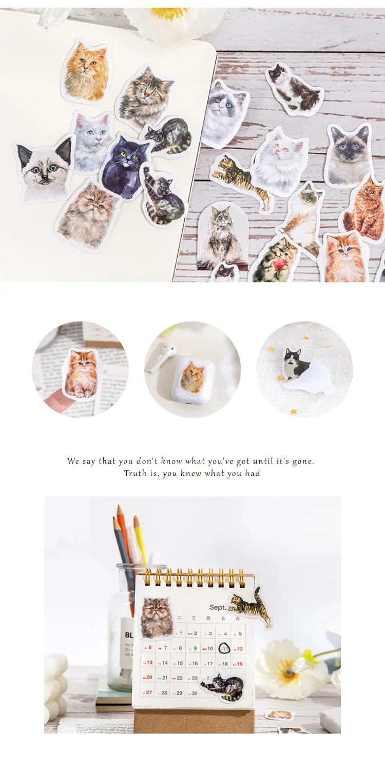 46pcs Cute Cat Diary Decorative Boxed Stickers Kawaii Pets Scrapbooking ...