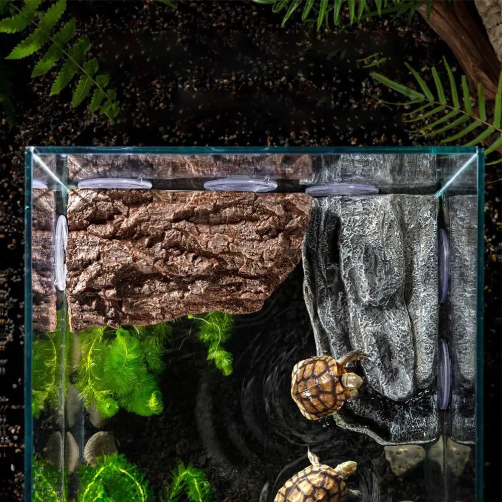 Aquarium Rocks For Turtle