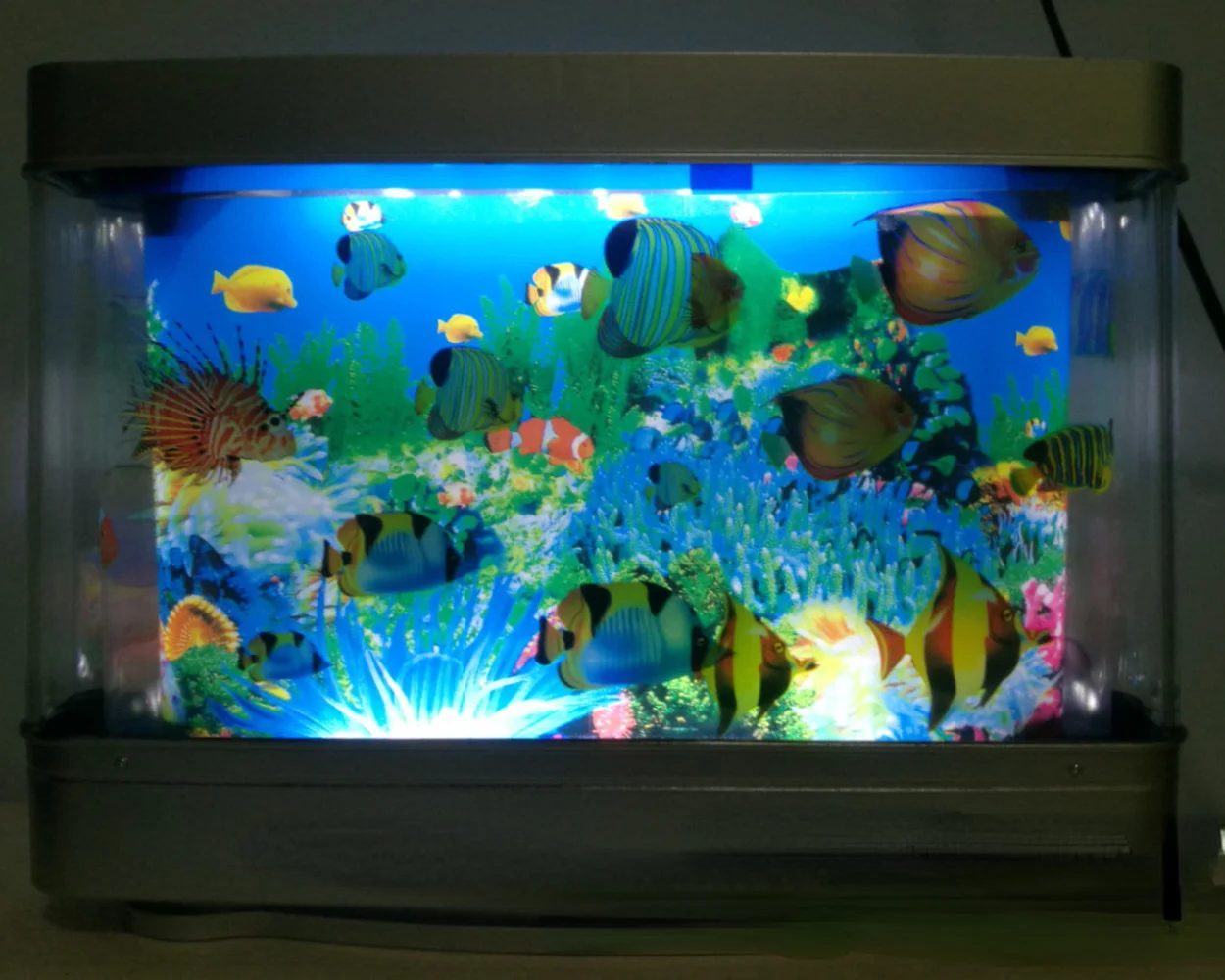 Tropical Fish Aquarium