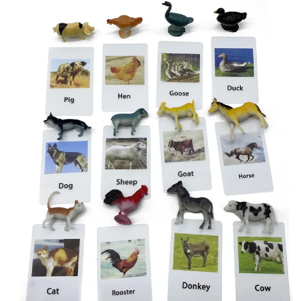 Kids-Montessori-Light-Table-Toys-Animal-Matching-Card-Montessori ...