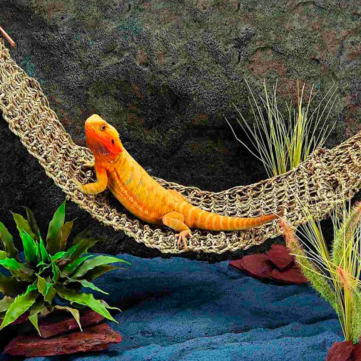 Lizard Hammock Reptile Inhabit Decoration Terrarium Natural Seagrass ...