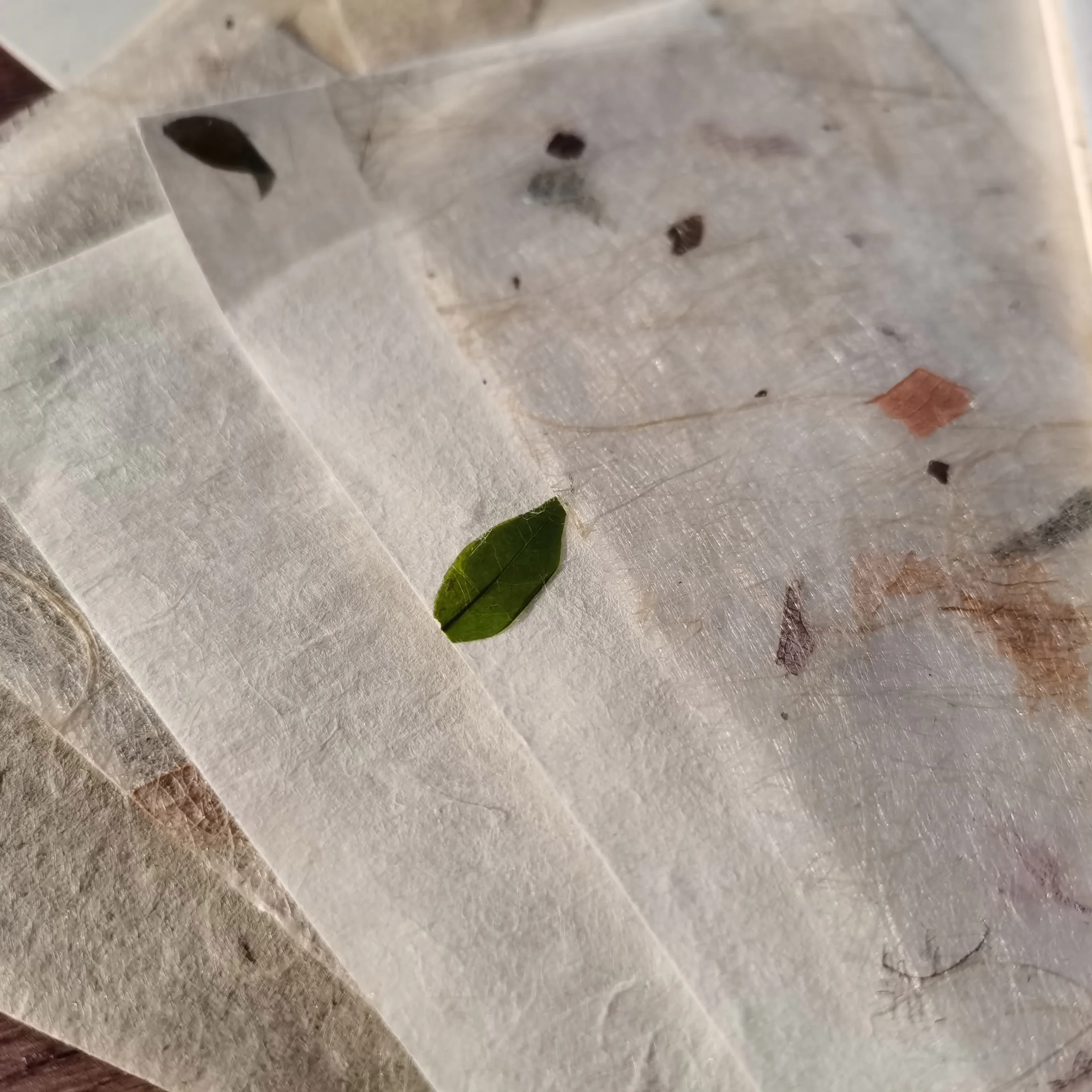 Store Home Products Feedback