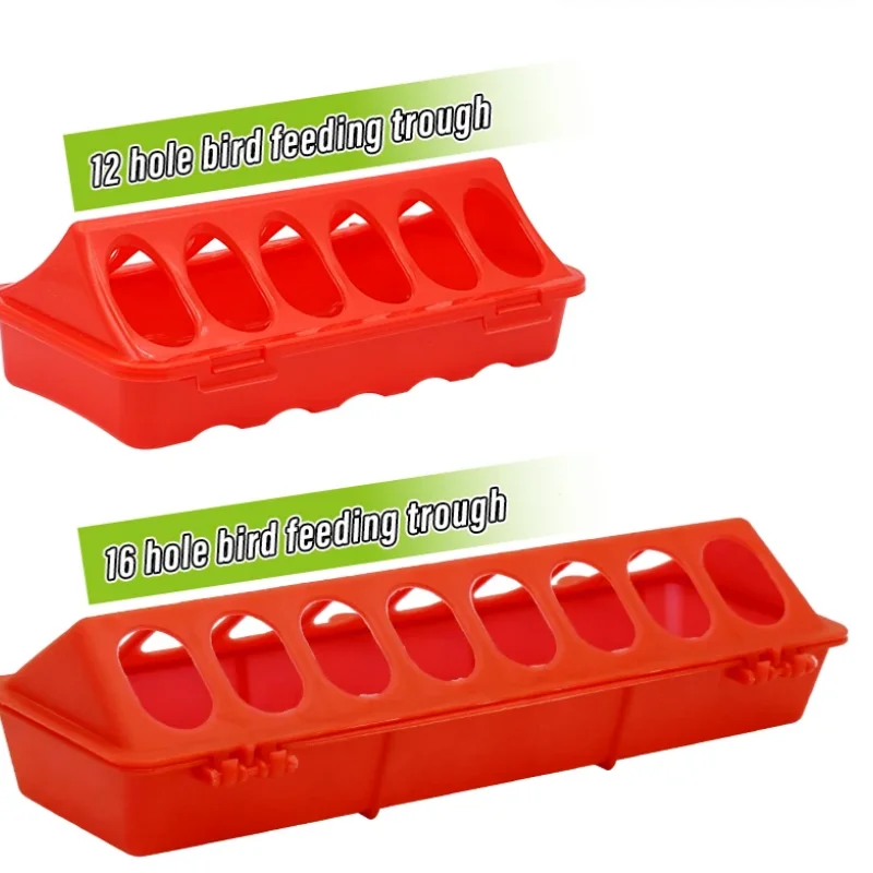 Rudin-chicken-automatic-feeder-large-capacity-food-box-chick-water ...