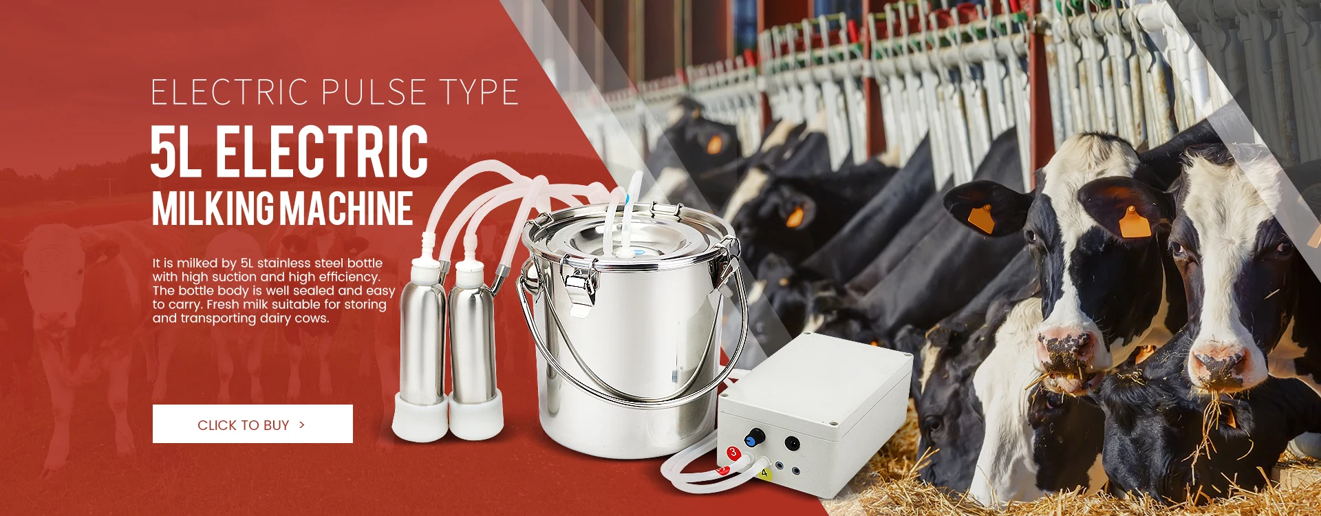 Eco Farm Store - Amazing products with exclusive discounts on AliExpress