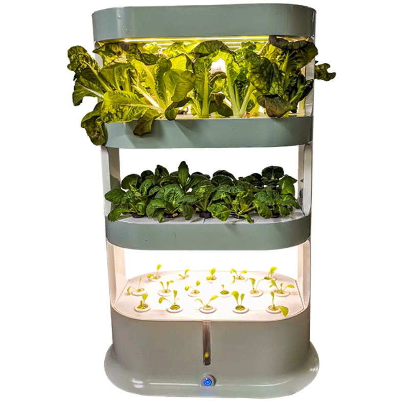 Eco-Friendly Hydroponic Systems for Efficient Gardening