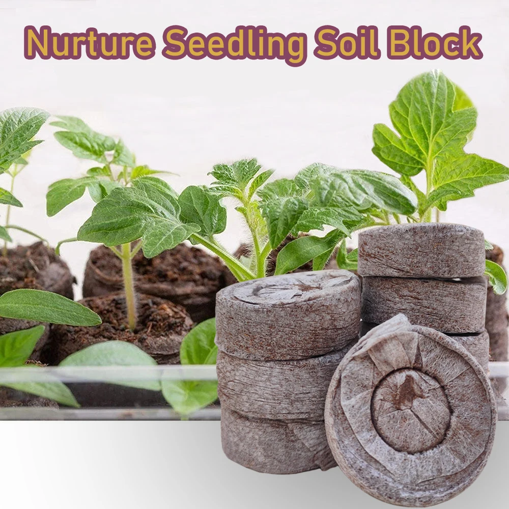 10-Pcs-Nurture-Seedling-Soil-Block-Seed-Germination-Base-Material ...