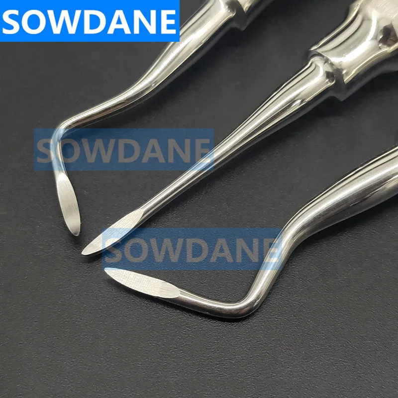 Dental-Tooth-Extraction-Elvator-Minimally-Invasive-Stainless-Steel ...