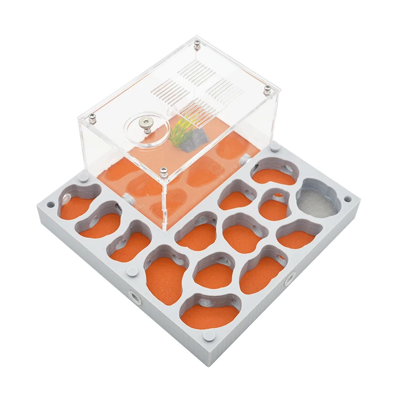 3D-Acryl-Ant-Farm-Ecological-Flat-Ant-Nest-with-Feeding-Area-Gypsum-Ant ...