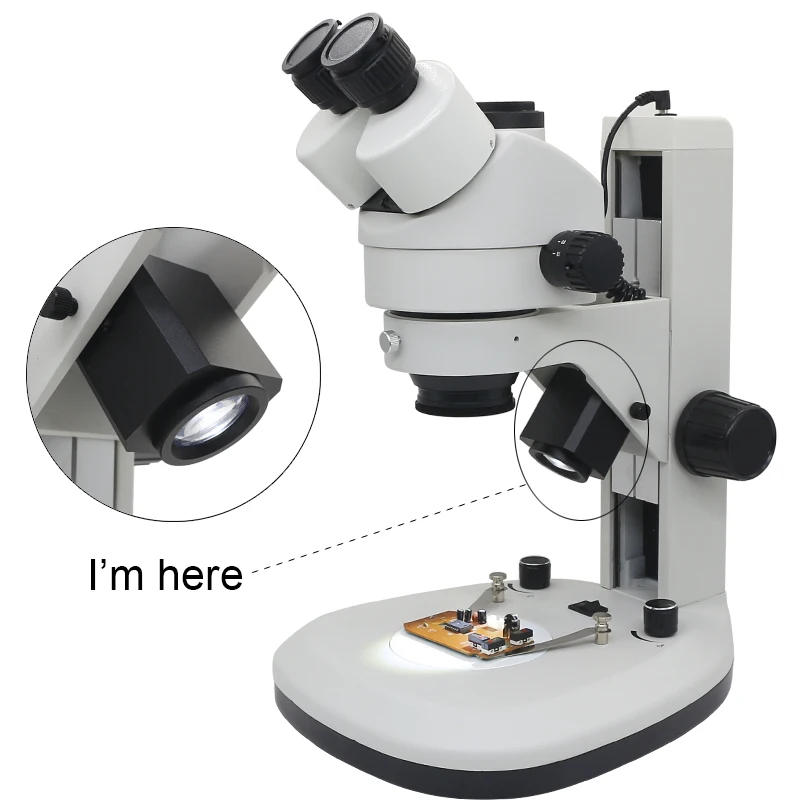 Light Source Microscope