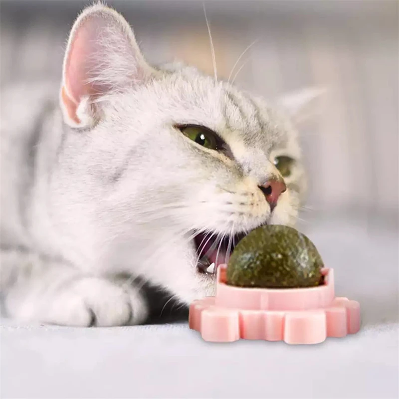 New Catnip Pure Natural Cats Candy Snack Ball Rotatable Toy Cat Molar ...