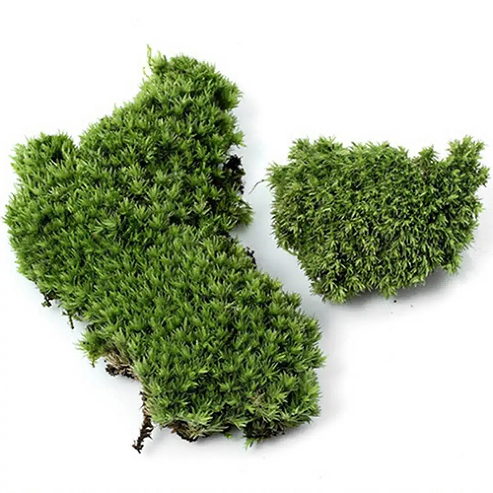 Mini-Decoration-Ornament-Home-Party-Artificial-Green-Grass-Moss-Plant ...