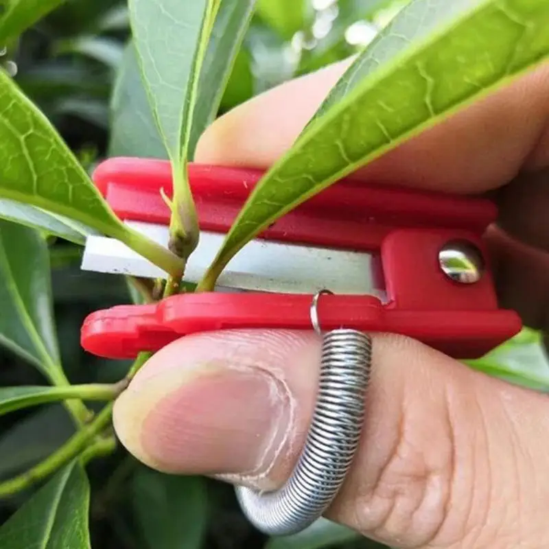 Thumb-Pruner-Multifunction-Garden-Thumb-Knife-Vegetable-Fruits-Picking ...