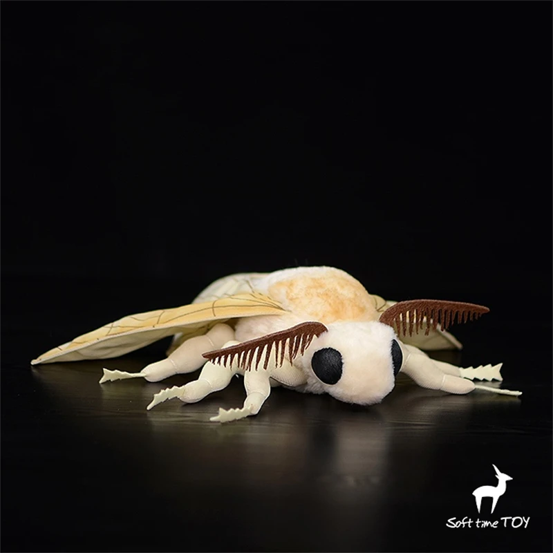 Cute Silkworm Moth