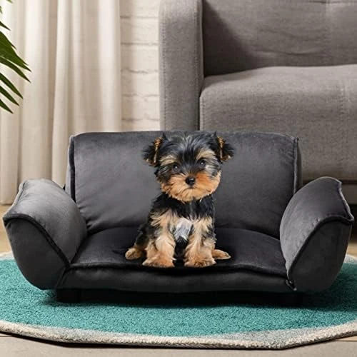 Small Dog Couch