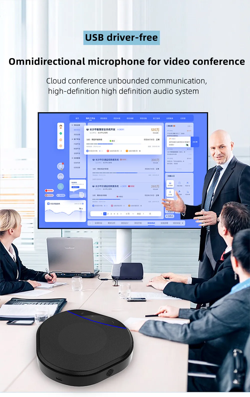 Videoconference Microphone