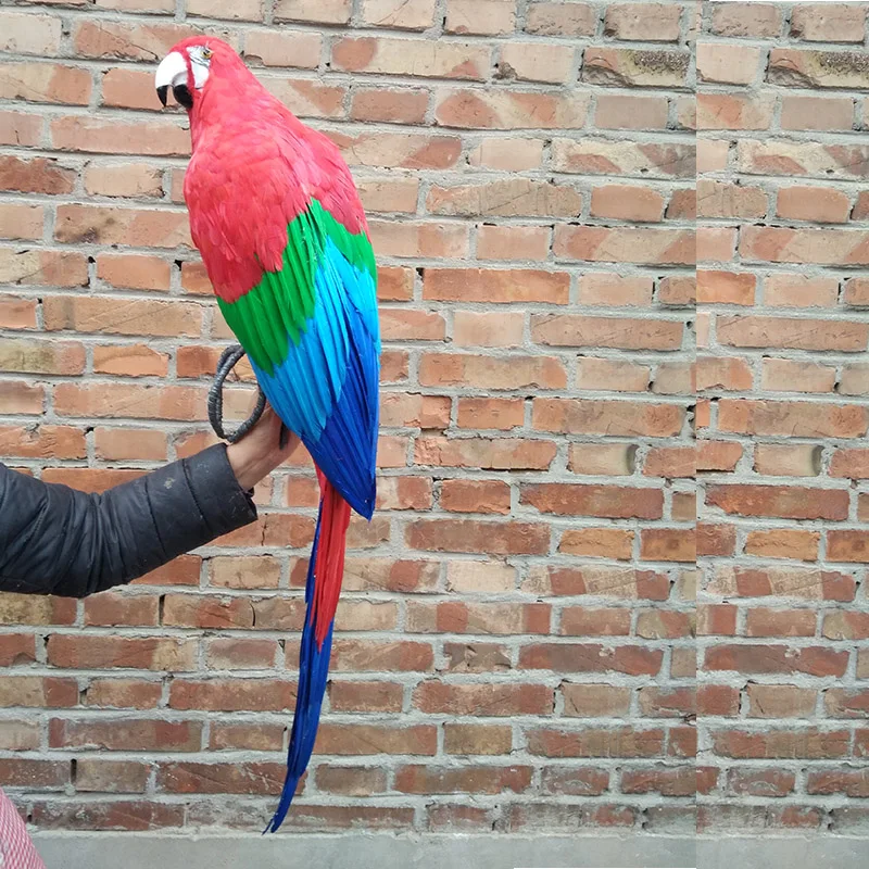 red-blue-real-life-parrot-model-foam-feather-huge-parrot-bird-bgift ...