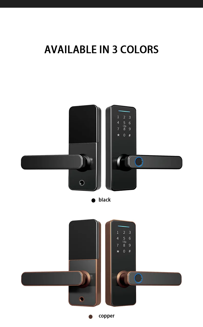 Tuya TTLock Electronic Smart Door Lock With Biometric Fingerprint/Smart ...