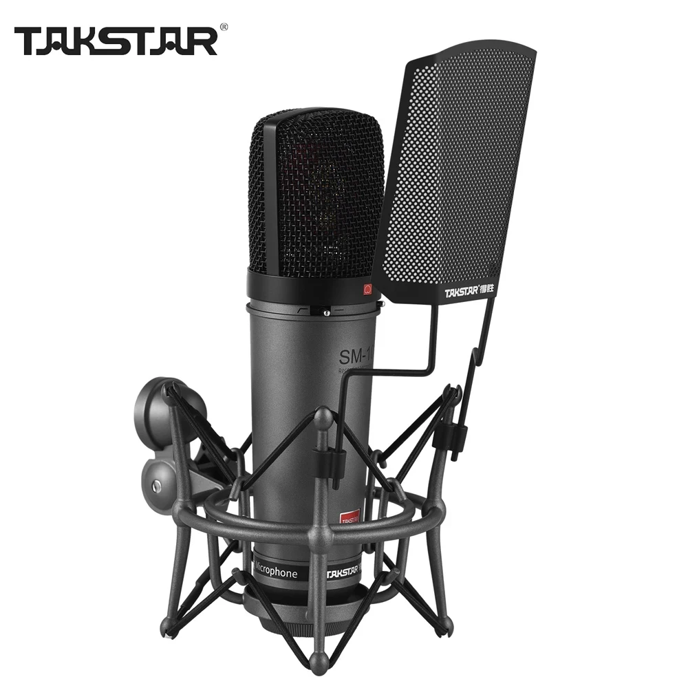TAKSTAR-SM-10-Unidirectional-Professional-Recording-Microphone-Home ...