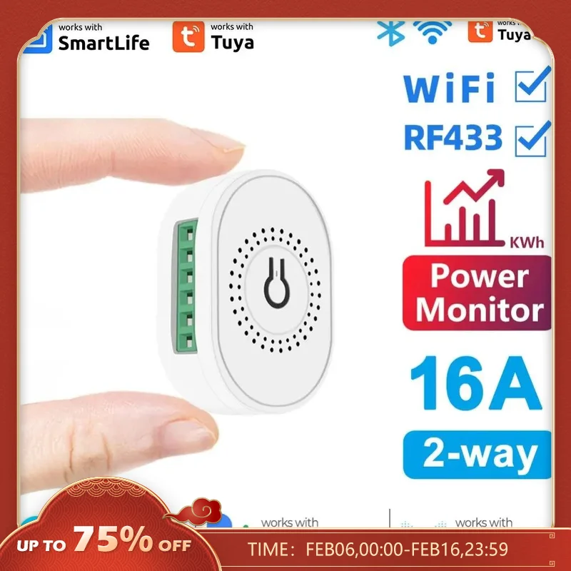 16A-Wifi-RF433-Smart-Mini-Switch-2-Way-Breaker-Smart-Life-APP-Voice ...