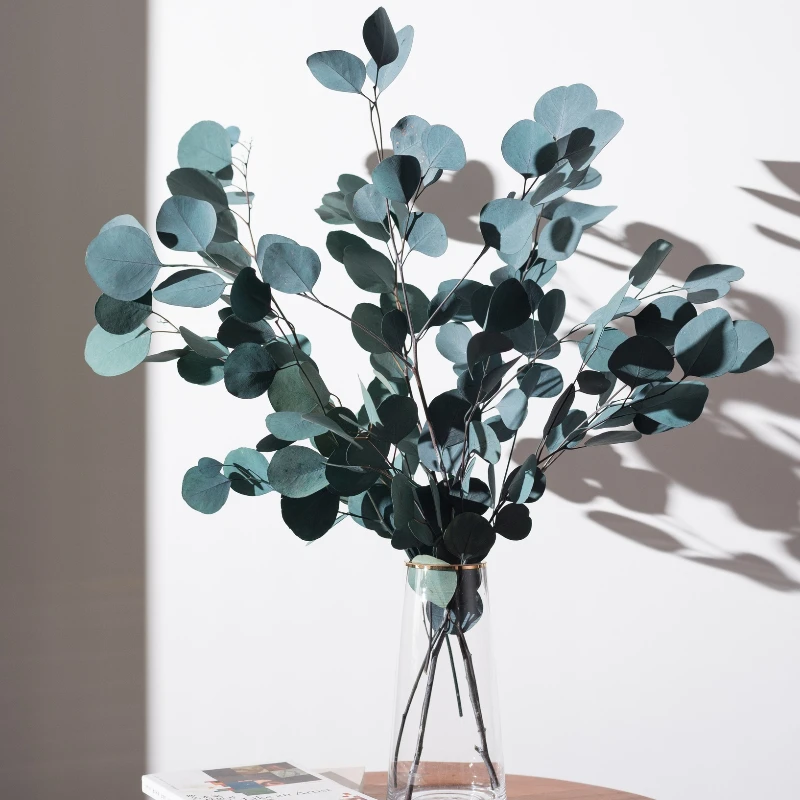 Round Eucalyptus Leaves