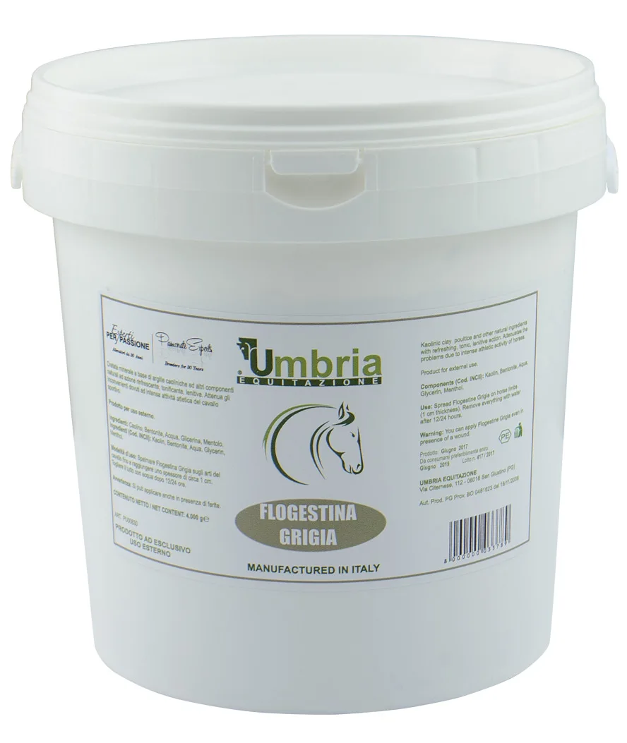 Iniezione Nube scacchi crema del cavallo schiaffo Significativo accettare