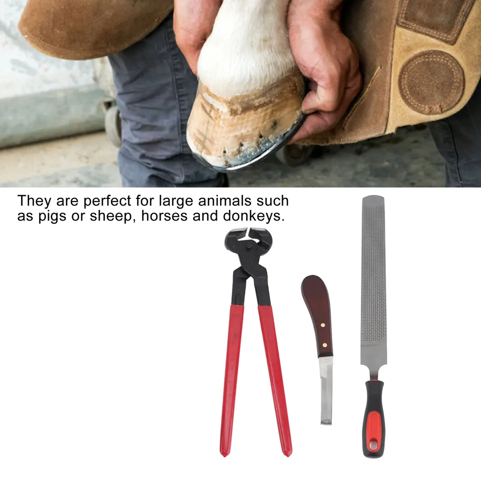 Goat Stand 8 Inch Farrier Tool Kits (7 Piece) Mini Rasp Hoof File Goat ...