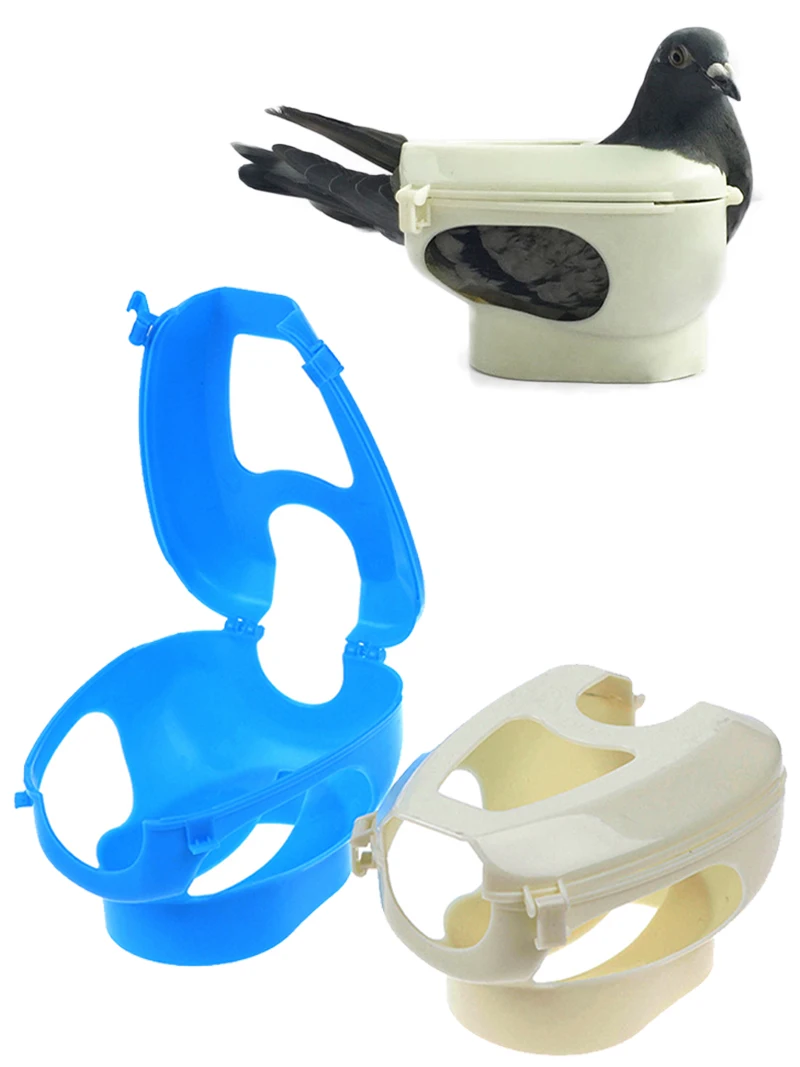 Pigeon-Hand-Feeding-Tool-Bird-Dove-Fixed-Frame-Rack-Suporte-de-Montagem ...