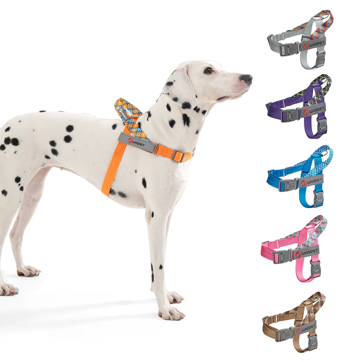 Walking Dog Harnesses For Heavy Medium Large Dogs Creative Design Flat ...