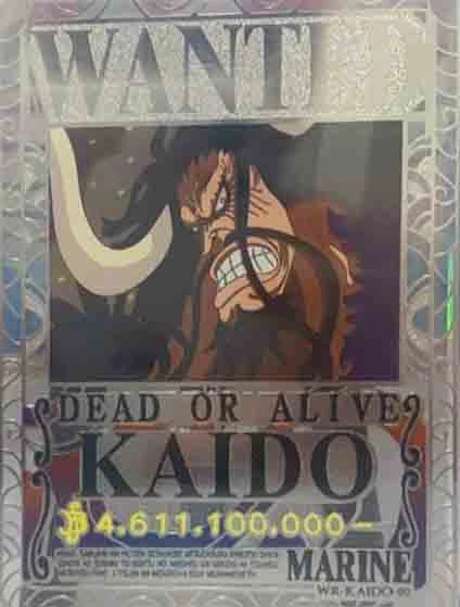 One Piece Wanted Kaidou