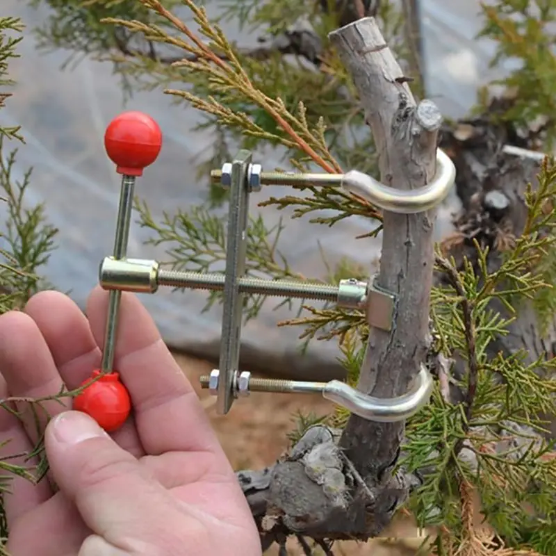 Bonsai Branch Bender Tools Készlet Kivételes Acélkertészet Gondozása ...