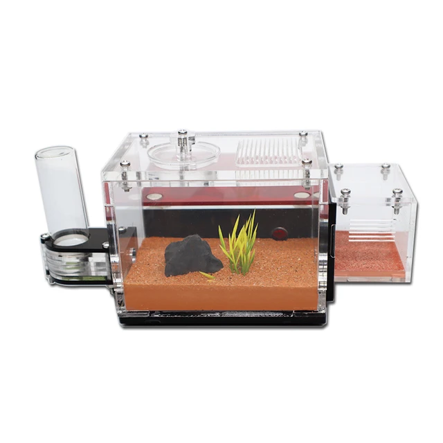 Acrylic Large Ant Farm Box Ant Home For Kids Study Ant, 57% OFF