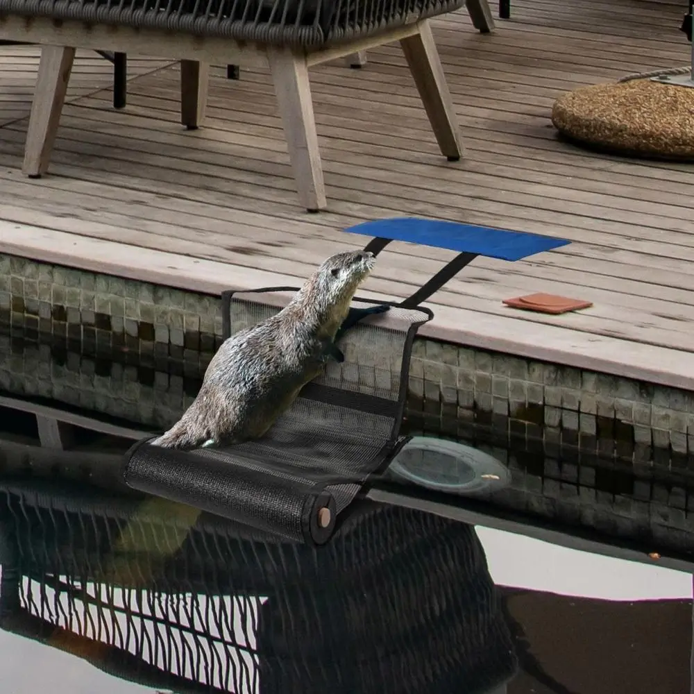 New-Animal-Rescue-Frog-Climb-Ladder-Pool-Escape-Net-Animal-Saving ...