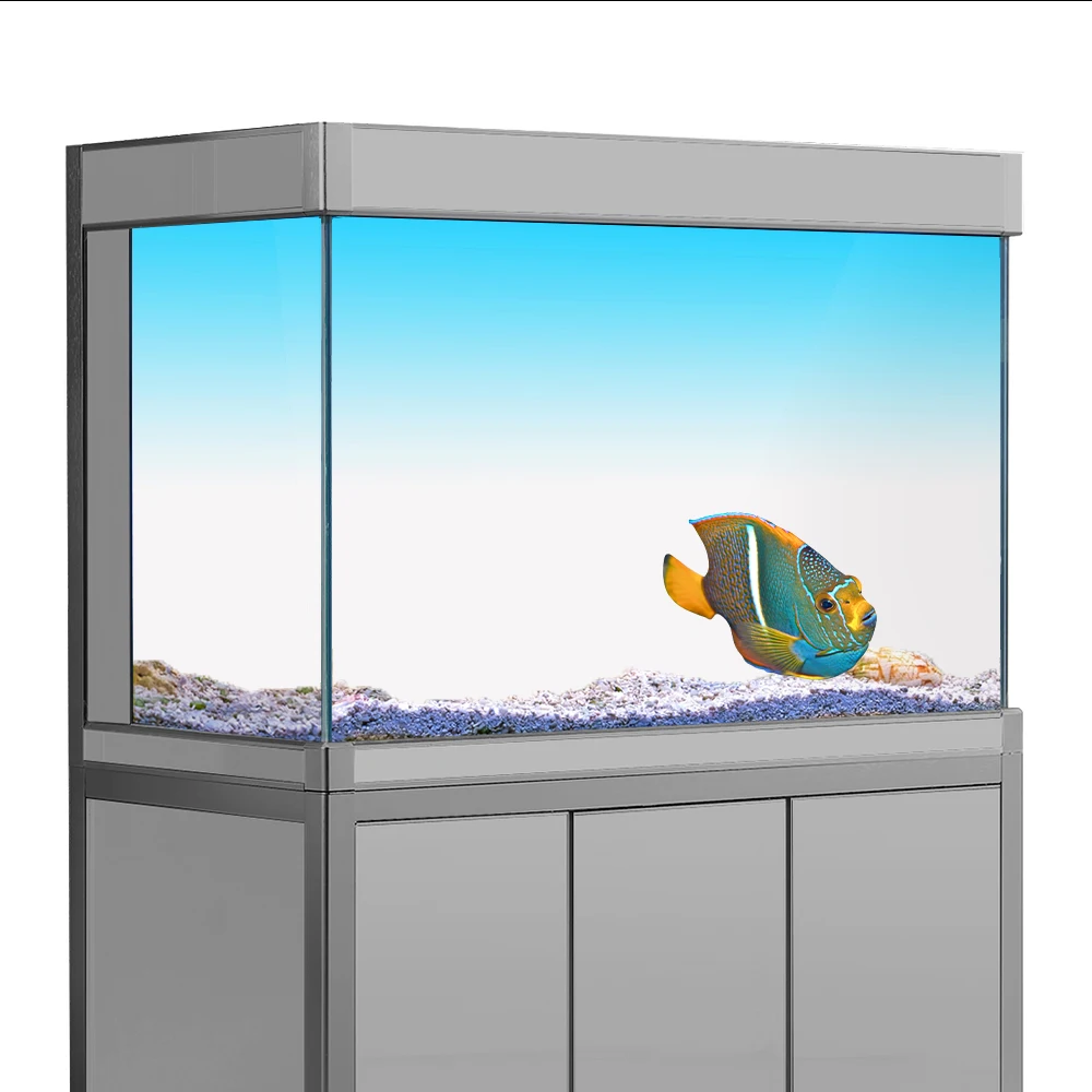 Aquarium Background Clipart Images